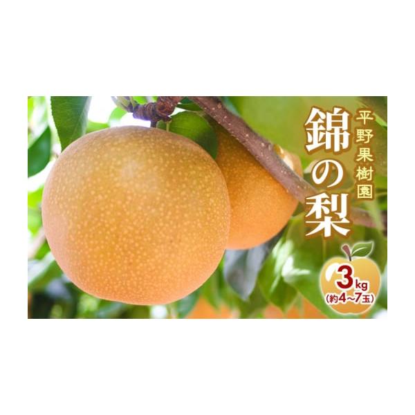 容量梨 約3kg（約4玉〜7玉程度）消費期限冷蔵発送から7日発送期日2026年8月中旬〜11月中旬配送冷蔵 別送申込期日2026年10月15日まで事業者平野果樹園申込条件何度も申し込み可