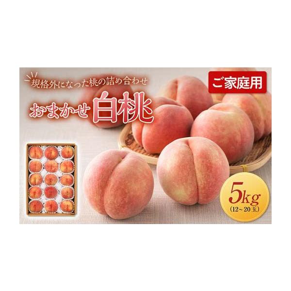 容量山形県産 白桃 約5kg (12〜20玉)等級：ご家庭用品種：青空むすめ、あかつき、暁星、あぶくま、いけだ白桃、川中島白桃、さくら白桃、伊達白桃、玉うさぎ、まどか、まなみ、西王母、美月、陽夏妃、紅国見、あまとう、ゆうぞら など※品種及び...
