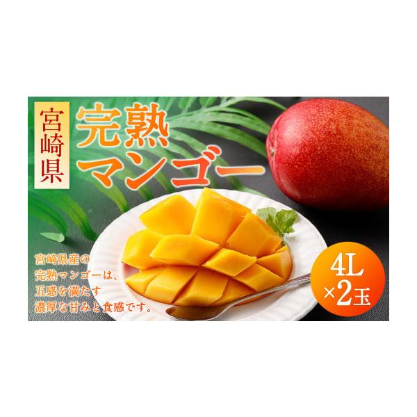 容量4L×2玉(1玉あたり：520g~649g)消費期限賞味期限：お早めにお召し上がりください。発送期日入金確認後、2026年4月上旬〜7月上旬までに順次出荷配送冷蔵 時間指定 別送申込期日2026年6月30日まで寄附受付事業者株式会社一声...