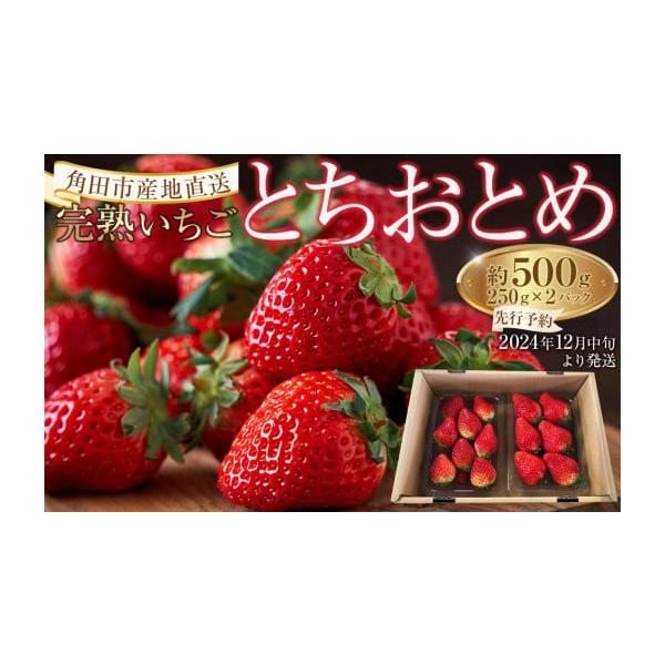 容量とちおとめ合計約500g（250g×2パック）※形、粒数、大きさ等のご指定はできません。消費期限出荷後：4日以内発送期日2025年12月下旬より順次発送します。配送冷蔵 別送申込期日〜2026年4月25日事業者サトウ農園申込条件何度も申...