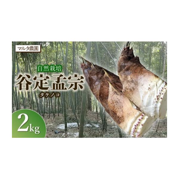 容量谷定孟宗（タケノコ）2kg消費期限なるべくお早めにお召し上がりください。発送期日令和8年5月1日〜5月20日頃発送予定※天候や発育状況により、発送期間が前後する場合がございます。※お申込み順に発送していきますので予めご了承ください。※お...