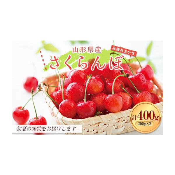 容量山形県産 さくらんぼ 200g×2規格：秀品／フードパックバラ詰め品種：佐藤錦、紅秀峰、大将錦、紅てまり、山形美人、南陽など※品種は指定はできません。※発送時期に旬を迎えた品種でお送りいたします。消費期限お早めにお召し上がりください。発...
