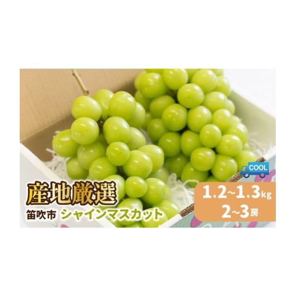 容量シャインマスカット 1.2kg〜1.3kg（2房〜3房）発送期日＜2026年発送先行予約＞8月中旬〜10月上旬予定（天候により前後いたします。）※沖縄県・離島は配送不可配送冷蔵 時間指定 別送申込期日2026年9月20日まで事業者株式会...