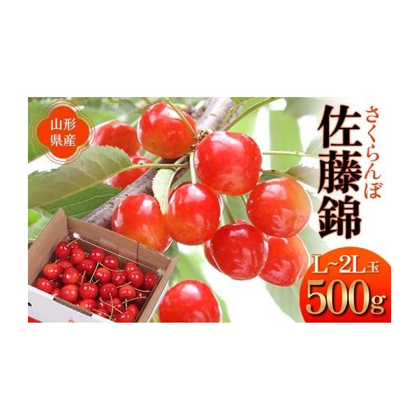 容量佐藤錦 約500g×1 秀品（L〜2L玉）消費期限製造・加工後3日以内発送期日2026年6月中旬頃〜7月上旬頃配送冷蔵 時間指定 別送申込期日2026年5月31日まで事業者株式会社やまがたさくらんぼファーム申込条件何度も申し込み可、オン...