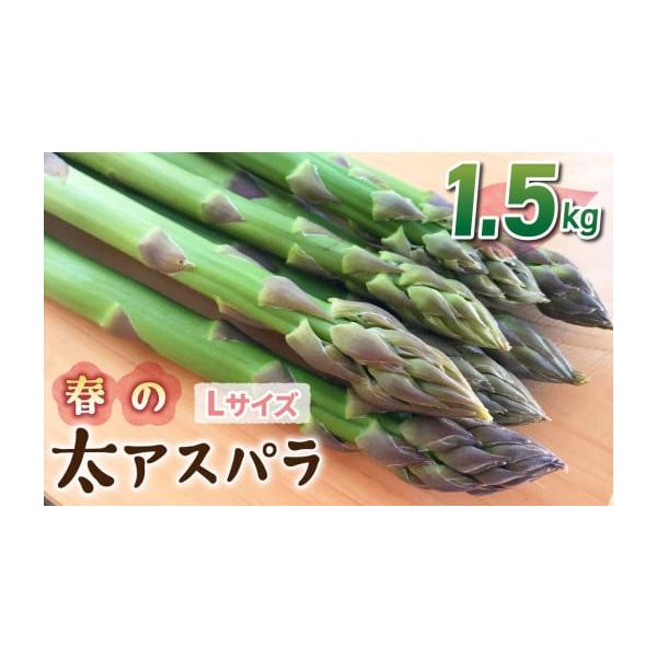 容量太（L）サイズ：約1.5kg (おおよそ45〜60本)消費期限発送から1週間程度（野菜ですのであくまでも目安となります。状態を確認のうえ、お早めにお召し上がりください）発送期日2026年4月上旬〜5月下旬の間に順次発送配送冷蔵 別送申込...