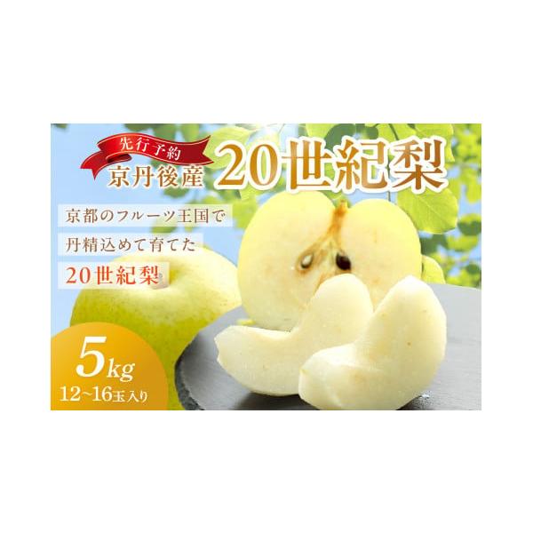 容量5kg（12〜16玉）消費期限【賞味期限】出荷日から10日間発送期日【配送可能期間】2026年9月上旬〜中旬配送常温 時間指定 別送申込期日期間限定（2025年09月11日〜2026年09月10日）事業者JA全農京都　丹後やさい館きちゃ...