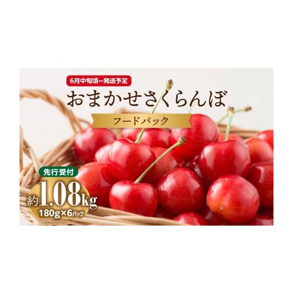 容量おまかせさくらんぼ 1.08kg (180g×6パック) 【佐藤錦・紅秀峰など】消費期限冷蔵4日到着後は冷蔵庫で保管してお早めにお召し上がりください。発送期日2026年6月中旬頃から順次発送※天候や収穫状況により変更になる場合があります...