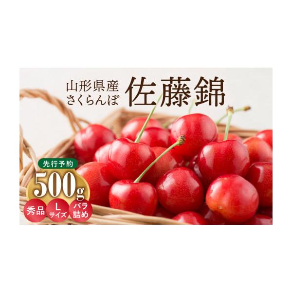 容量山形県産「佐藤錦」500g 秀品 Lサイズ消費期限冷蔵4日※到着後は冷蔵庫で保管してお早めにお召し上がりください。発送期日2026年6月中旬頃から順次発送※天候や収穫状況により変更になる場合があります。配送冷蔵 時間指定 別送申込期日期...