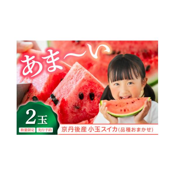 容量小玉スイカ　2玉（4kg〜5kg）消費期限【賞味期限】収穫後1週間以内が食べ頃となりますので、発送日から約5日以内にお召し上がりください。【保存方法】冷暗所にて常温保存発送期日【配送可能期間】2026年7月上旬〜下旬【配送不可地域】北海...