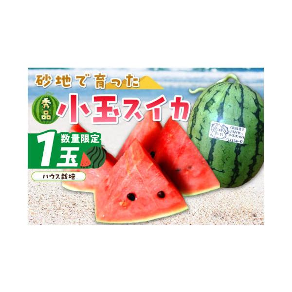 容量1玉（2kg以上）消費期限【賞味期限】食べ頃で収穫しているので、到着後なるべく早くお召し上がりください。（2〜3日程度が目安）【保存方法】到着後、直射日光・高温多湿を避けて保管をお願いいたします。切ってしまって、食べきれなかった場合は、...