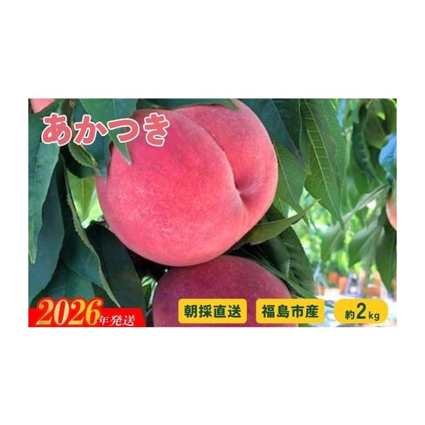 容量約2kg  6玉〜８玉消費期限発送日+3日発送期日2026年7月中旬から2026年8月上旬発送予定配送常温 時間指定 別送事業者さとう果樹園株式会社申込条件何度も申し込み可、オンライン決済限定