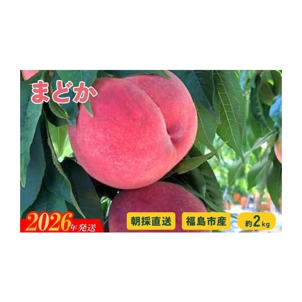 容量約2kg  6玉〜８玉消費期限発送日+3日発送期日2026年8月上旬から2026年8月中旬発送予定配送常温 時間指定 別送事業者さとう果樹園株式会社申込条件何度も申し込み可、オンライン決済限定