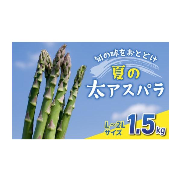 容量太（L〜２L）サイズ：約1.5kg (おおよそ35〜50本)消費期限発送から1週間程度（野菜ですのであくまでも目安となります。状態を確認のうえ、お早めにお召し上がりください）発送期日2026年7月上旬〜9月中旬の間に順次発送配送冷蔵 別...