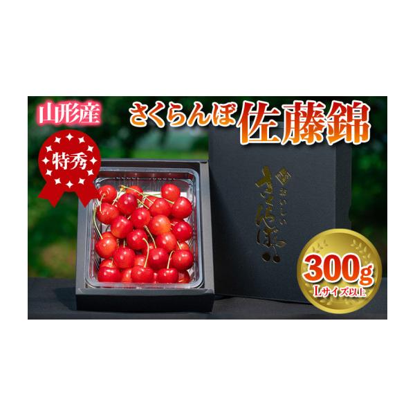 容量【令和8年産】さくらんぼ 「佐藤錦」 特秀品 300g(300g×1パック) Lサイズ以上発送期日2026年06月15日頃〜2026年06月30日頃※状況により配送時期が前後する場合がございます。(着日指定不可)配送冷蔵 時間指定 別送...