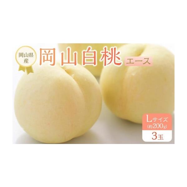 容量岡山白桃　エース 3玉×約200g（Lサイズ）岡山県内産（8ハ)消費期限出荷日より冷蔵4〜5日発送期日2026年7月上旬〜8月下旬頃までに発送　※収穫状況により前後する場合がございます。配送冷蔵 別送申込期日2026年8月8日まで事業者...