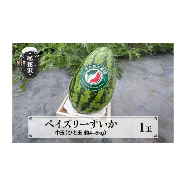 容量ペイズリーすいか 中玉(S~M)サイズ 約4~5kg×1玉消費期限7日※お早めにお召し上がり下さい。熟すのを待つ必要はございません。※お届け後は高温を避け風通しの良い所へ保管するか、冷蔵庫に入れて保管して下さい。発送期日令和8年7月中旬...