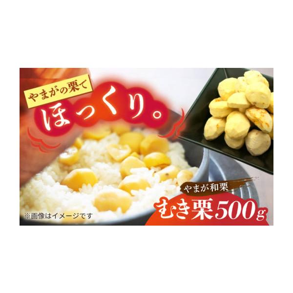 容量むき栗 約500g（約250g×2pc）【原料原産地】熊本県山鹿市産【加工地】熊本県山鹿市消費期限【賞味期限】発送日から半年発送期日ご入金確認後、1ヶ月以内に発送いたします。※天候により配送期間が予告なく前後する可能性がございますので、...