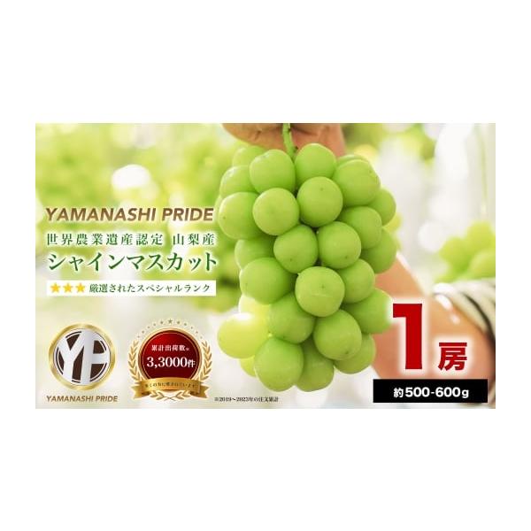 容量■お礼品の内容について・シャインマスカット[1房(約500g〜600g)]原産地:山梨県山梨市■生産者の声ブドウの名産地、山梨市で丁寧に育てた葡萄の中から厳選した製品をお届けします。本製品の収益の一部は、未来のぶどう産業を担う若手農家の...