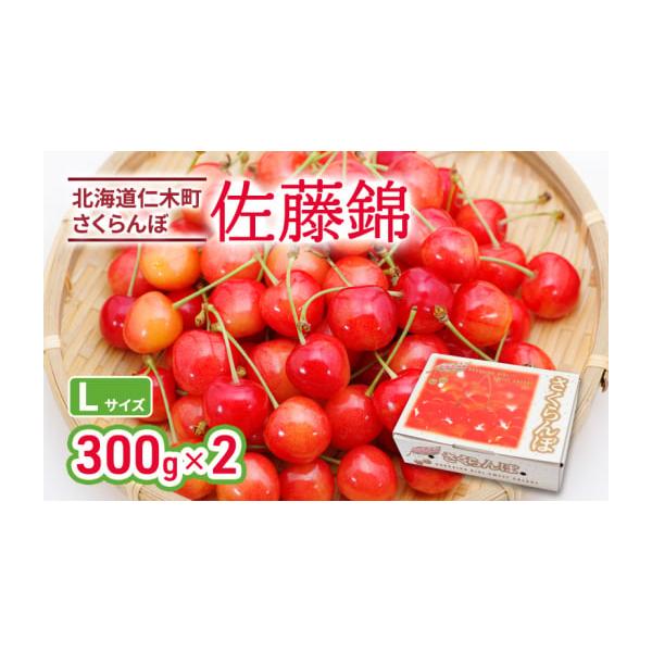 容量さくらんぼ【佐藤錦】Lサイズ以上　300g×2パック産地：仁木町※ふるさと納税返礼品地場産品基準(平成31年総務省告示第179号第5条)のうち該当する類型について仁木町内において生産されたものであることから第１号に該当。消費期限発送から...