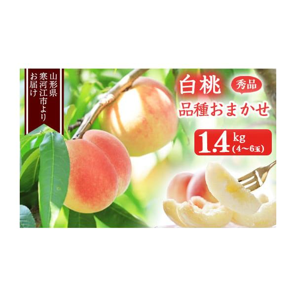 容量2026年産（令和8年産）山形県産（寒河江市産）白桃 品種おまかせ 秀品　1.4kg（4〜6玉）「暁星(ぎょうせい)、尚美(しょうび)、あかつき、白鳳、なつっこ、まどか、いけだ、きらら姫、紅博桃、ももか、なつおとめ、陽夏妃、川中島白桃、...