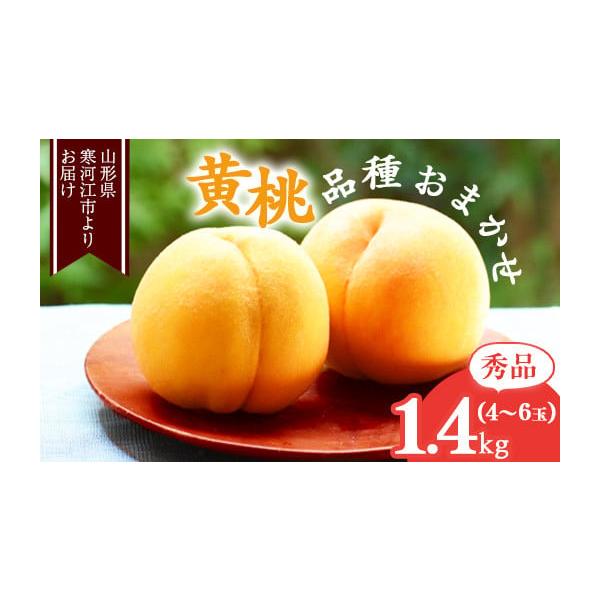 容量2026年産（令和8年産）山形県産（寒河江市産）黄桃 品種おまかせ 秀品 1.4kg（4〜6玉）「月あかり、黄金桃、黄貴妃、黄ららのきわみ、スウィート光黄、きなつ、西尾ゴールド、光月、ラストゴールド」などから１品種※品種、サイズ、玉数の...