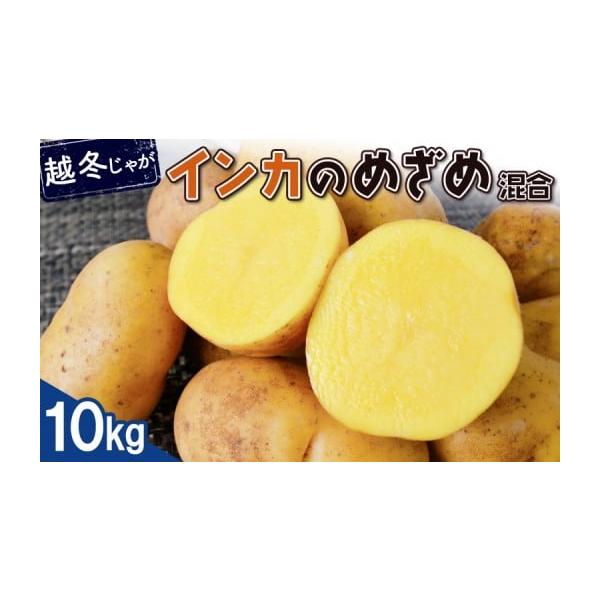 容量インカのめざめ10kg（S〜L混合サイズ）消費期限賞味期限：常温　30日発送期日2026／01／05〜2026／03／31に発送いたします。配送冷蔵 時間指定 別送申込期日2025／10／01〜2026／02／28まで申し込みを受け付け...