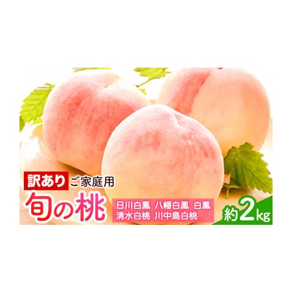 容量約2kg(6-9玉)消費期限冷暗所で風通し位の良い所に保管頂き、お早めにお召し上がりください。発送期日2026年6月下旬-8月末頃出荷配送冷蔵 時間指定 別送申込期日7月末頃まで（予定数量に達し次第終了）事業者岸武青果株式会社申込条件何...