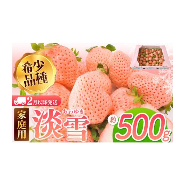 容量（ご家庭用）淡雪 500g消費期限【要冷蔵】発送から5日前後発送期日2月頃〜4月の期間で順次発送します。＊いちごの生育状況に応じ、お申込みいただきました順に発送いたします。発送時期のご指定は承れませんのでご了承ください。配送冷蔵 時間指...