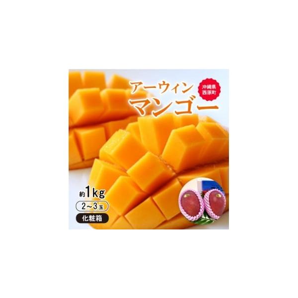 容量■お礼品の内容について・アーウィンマンゴー[約1kg(2〜3玉)]原産地:沖縄県西原町消費期限■賞味期限:出荷日+7日(到着後、お早めにお召し上がりください)発送期日2026-06-20〜2026-07-31　※離島にはお届けできません...