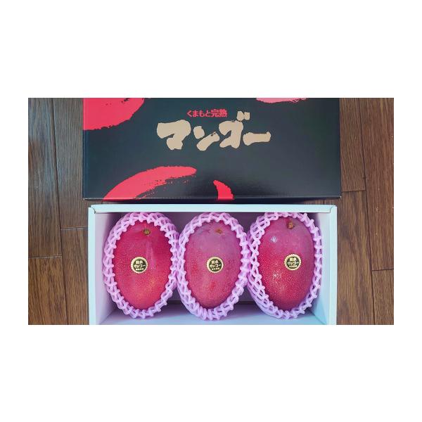 容量約900g〜1kg前後（2L2玉 or L3玉）消費期限7日発送期日2026年7月上旬〜8月下旬迄順次発送予定配送冷蔵 時間指定 別送申込期日〜2026年8月10日まで寄附受付事業者原田農園申込条件何度も申し込み可