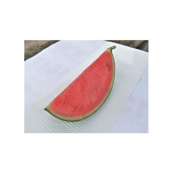 容量小玉すいか（ピノガール）３〜６個※玉数の指定はできません。※天候により出荷時期や規格（数、サイズ、品種等）を変更する場合がございます。発送期日２０２６年７月下旬〜８月上旬迄※ご不在日が多く配達が困難な場合、お礼品や配送先の変更をお願いす...