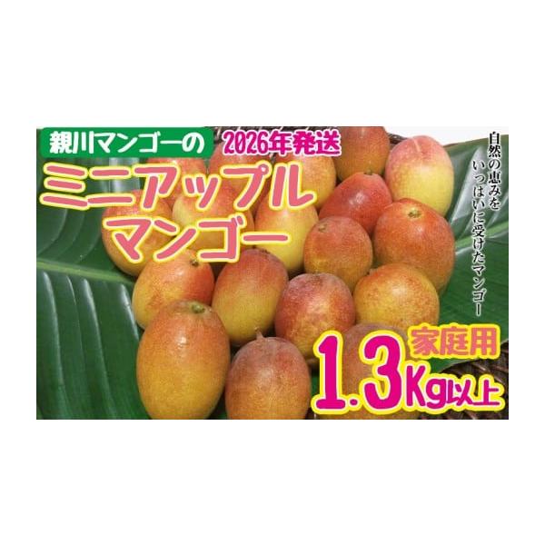 容量ミニアップルマンゴー　家庭用　1.3kg以上タマゴサイズ　Sサイズ以上（1玉　70g以上〜240g以下）白箱（玉数の指定はできません）こちらの商品は「家庭用」です。---------------・大きさにバラつきがある・黒い斑点がある・...