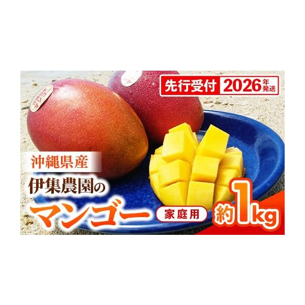 容量沖縄県産マンゴー（ご家庭用）約1kg（2〜3玉）・玉数の指定はできません消費期限到着後なるべくお早めに御賞味ください発送期日2026年6月中旬〜7月末頃を予定配送冷蔵 別送申込期日2026年7月15日頃までを予定事業者伊集農園申込条件何...