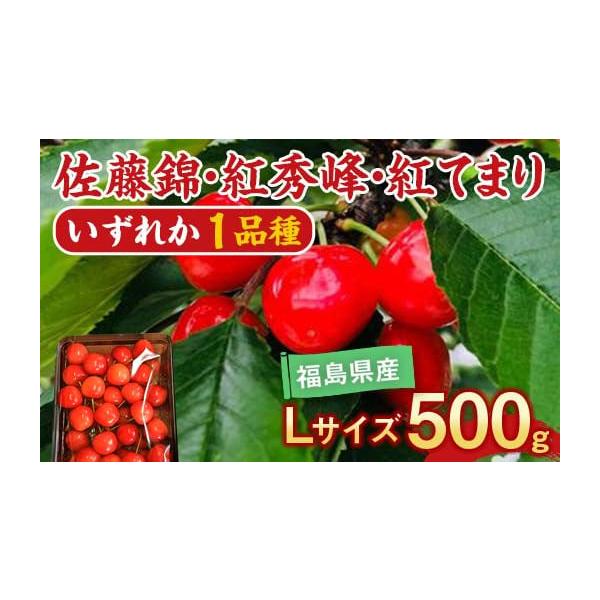 容量■お礼品の内容について・さくらんぼ　佐藤錦 紅秀峰 紅てまり どれか1品種（500g Lサイズ）原産地:福島県須賀川市消費期限■賞味期限:出荷日+4日※到着後、すぐにお礼品の状態をご確認のうえ、お早めにお召し上がりください。発送期日20...