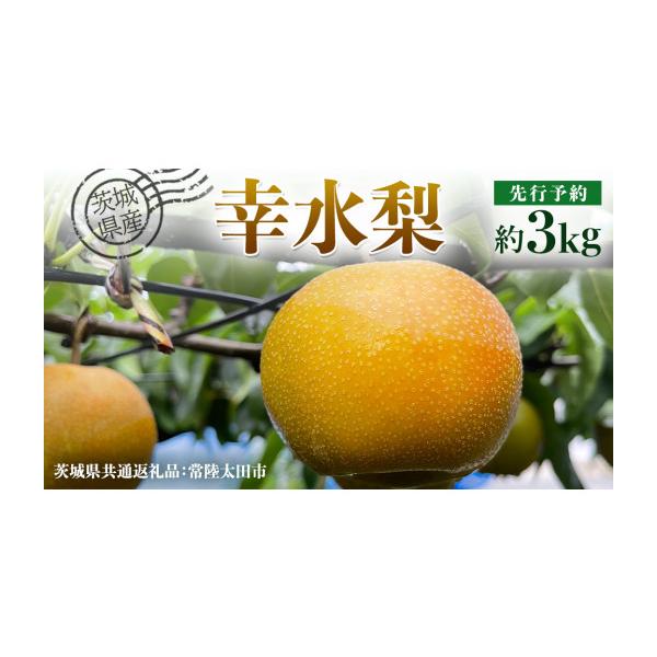 容量約3kg(7玉〜9玉)消費期限出荷日から5日発送期日2026年8月中旬頃より収穫後、発送開始最終発送：2026年8月下旬頃※生育状況により、前後する場合がございます。配送冷蔵 別送申込期日2026年08月17日入金確認分まで事業者桧山果...