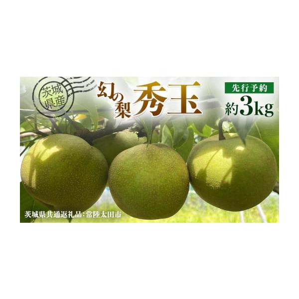 容量約3kg(7玉〜9玉)消費期限出荷日から5日発送期日2026年8月下旬頃より収穫後、発送開始最終発送：2026年9月中旬頃※生育状況により、前後する場合がございます。配送冷蔵 別送申込期日2026年8月31日入金確認分まで事業者桧山果樹...