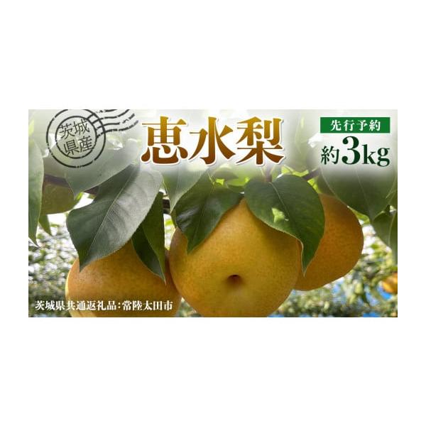 容量約3kg(6玉〜7玉)消費期限出荷日から5日発送期日2026年9月中旬頃より収穫後、発送開始最終発送：2026年9月下旬頃※生育状況により、前後する場合がございます。配送冷蔵 別送申込期日2026年9月21日入金確認分まで事業者桧山果樹...