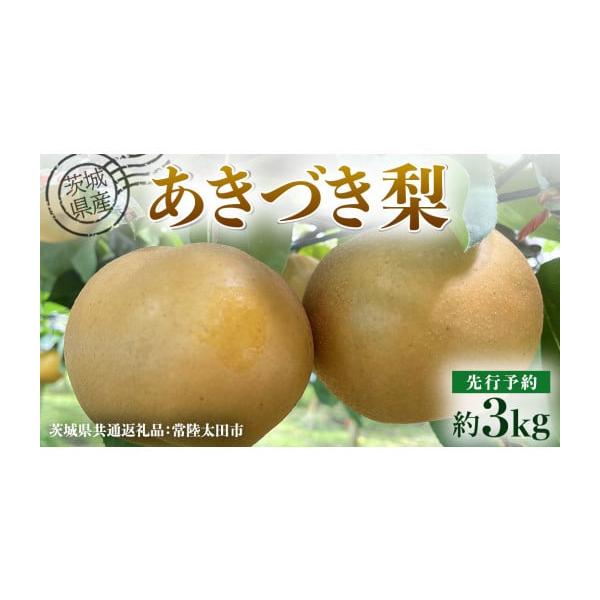 容量約3kg(6玉〜7玉)消費期限出荷日から5日発送期日2026年9月中旬頃より収穫後、発送開始最終発送：2026年9月下旬頃※生育状況により、前後する場合がございます。配送冷蔵 別送申込期日2026年9月21日入金確認分まで事業者桧山果樹...