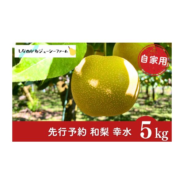容量8~20個（合計約5kg）※生育状況により、個数が前後する場合がございます。消費期限発送日から4~5日程度※到着後、お早めにお召し上がりください。高温・多湿・直射日光を避け、涼しい場所に保管してください。発送期日8月中旬〜9月上旬頃※天...