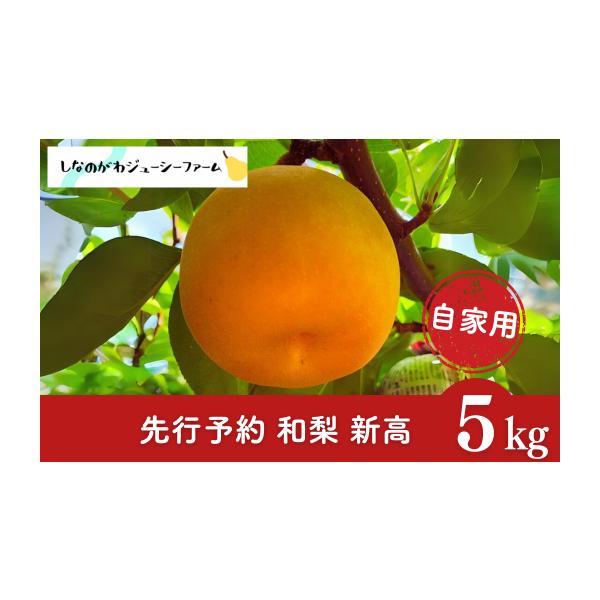 容量5~20個（合計約5kg）※生育状況により、個数が前後する場合がございます。消費期限発送日から5~7日程度※到着後、お早めにお召し上がりください。高温・多湿・直射日光を避け、涼しい場所に保管してください。発送期日10月上旬〜11月上旬頃...