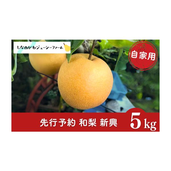 容量5~20個（合計約5kg）※生育状況により、個数が前後する場合がございます。消費期限発送日から5~7日程度※到着後、お早めにお召し上がりください。高温・多湿・直射日光を避け、涼しい場所に保管してください。発送期日2026年11月上旬〜1...