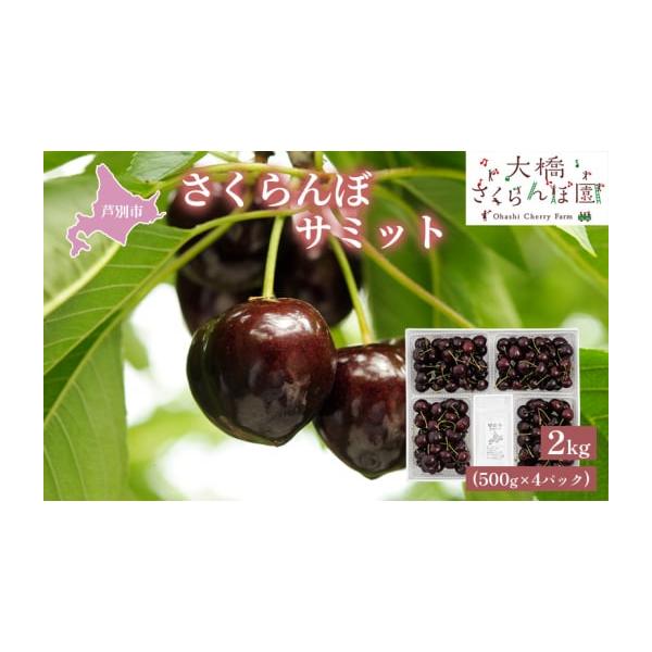 容量甘さ：6　酸味：2　高級感：7　大きさ：4L※「評価」は10段階です。参考にしてください。「サミット」500g×4パック■大橋さくらんぼ園について私たち大橋さくらんぼ園は、なにより『木が健康でなければ！』と考えています。健康な木に安全で...