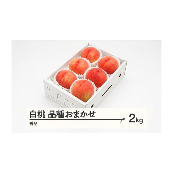 容量内容量：もも 白桃 秀 約2kg(5〜9玉入り)×1箱品　種：おまかせ(あかつき・いけだ・川中島白桃・伊達白桃・青空娘　等より1品種)※品種の指定はできません。消費期限冷蔵 3日発送期日2026年8月上旬〜9月下旬に順次発送※発送時期は...