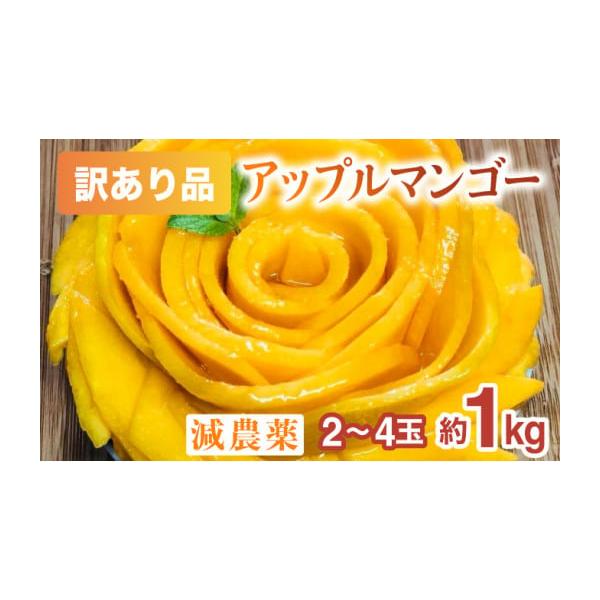 容量西表島産 栽培期間中減農薬栽培 訳あり アップルマンゴー約1kg（2〜4玉）発送期日2026年6月中旬〜7月下旬配送冷蔵 時間指定 別送申込期日2026年7月15日まで事業者西表島アナナス農園申込条件何度も申し込み可