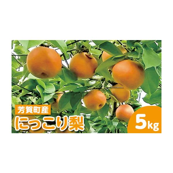 容量約5kg発送期日2026年10月上旬〜10月下旬頃配送常温 別送申込期日〜2026年10月20日事業者手塚農園申込条件何度も申し込み可
