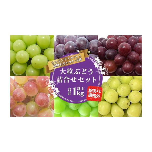 容量品種：訳あり シャインマスカット／紅環、選抜高妻、オリエンタルスター、黄玉、天晴の中からいずれか1〜2種類産地：山形県　内容量：2〜3房 計1kg（シャインマスカット1房＋紅環、選抜高妻、オリエンタルスター、黄玉、天晴の中からいずれか1...