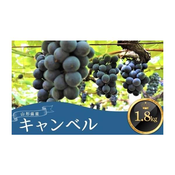 容量キャンベル 1.8kg（5〜10房）消費期限7日発送期日2026年9月上旬頃〜2026年10月下旬頃配送冷蔵 時間指定 別送申込期日2026年8月31日まで事業者株式会社エナジープランニング申込条件何度も申し込み可、オンライン決済限定