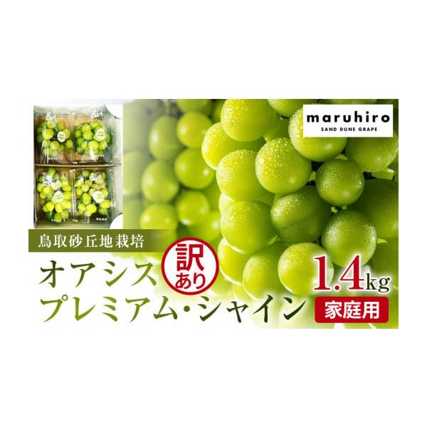 容量1.4kg（350g×4パック）発送期日8月下旬頃〜10月下旬頃に順次発送配送冷蔵 時間指定 別送申込期日〜2026年10月17日事業者マルヒロぶどうファーム申込条件何度も申し込み可