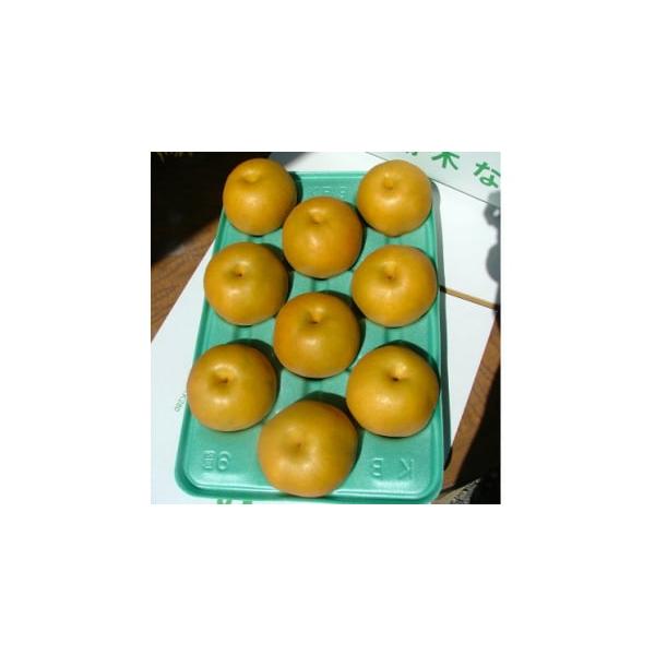 容量■お礼品の内容について・豊水梨[5kg　(8〜16玉)]原産地:栃木県小山市消費期限■賞味期限:発送日から美味しく召し上がれる期間　7日発送期日2026-08-25〜2025-09-20　※離島にはお届けできません。配送常温 別送申込期...