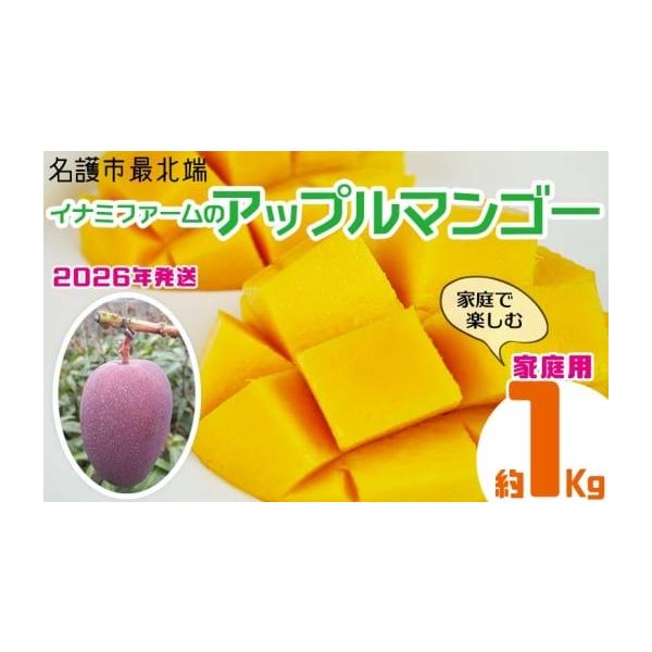 容量アップルマンゴー　約1kg（2〜3玉）家庭用・白箱色付が3割以下表皮に多少の傷ありアレルギー：ウルシ科消費期限青果物なので到着後はお早めにお召し上がり下さい。発送期日2026年7月中旬〜8月中旬で順次発送予定配送冷蔵 別送申込期日202...